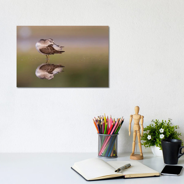House of Hampton Preening Time by Mateusz Piesiak - Wrapped Canvas Gallery-Wrapped Canvas Giclée ...